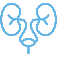 Urologija – Poliklinika Central